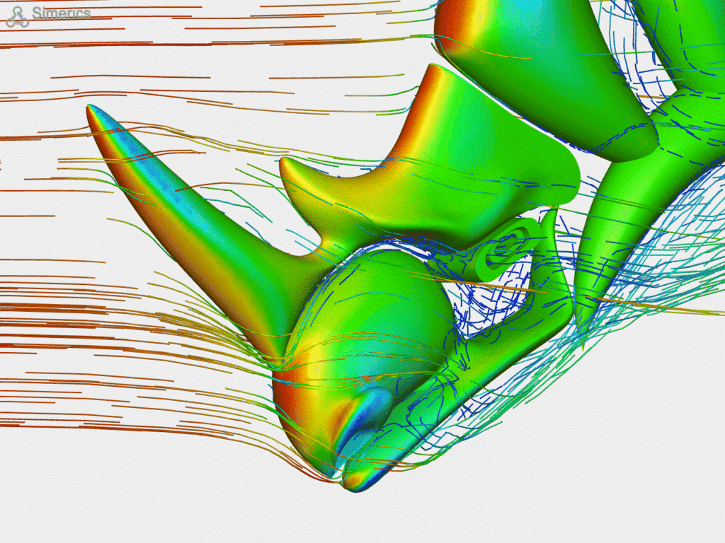Rhino Flow-RT | Simerics